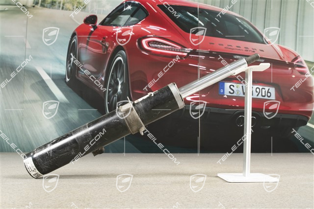 TEILE.COM | Schwingungsdämpfer, PASM, vorne achse, L=R / Gebraucht ...