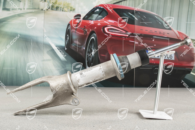 TEILE.COM | Shock absorber, PASM, L=R / used / Panamera 970 / 402-00 ...