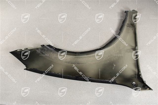 TEILE.COM | Front wing / Fender, L / used / Cayenne 9Y0 / 801-40 Wing ...