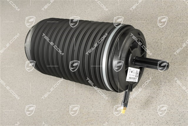 TEILE.COM | Air Suspension Spring / Strut / Bag, Rear, PASM, L / new ...