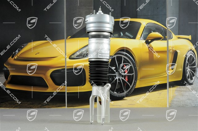 TEILE.COM | Air suspension strut assembly, PDCC, L / new / Panamera 970 ...