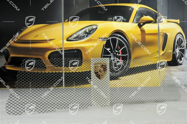 TEILE.COM | Ventilation grille, centre / used / 911 991 / 802-00 Front ...