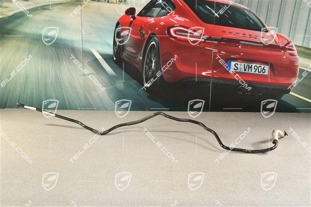 TEILE.COM | Vacuum line for Brake booster / used / 911 991 / 604-15 ...