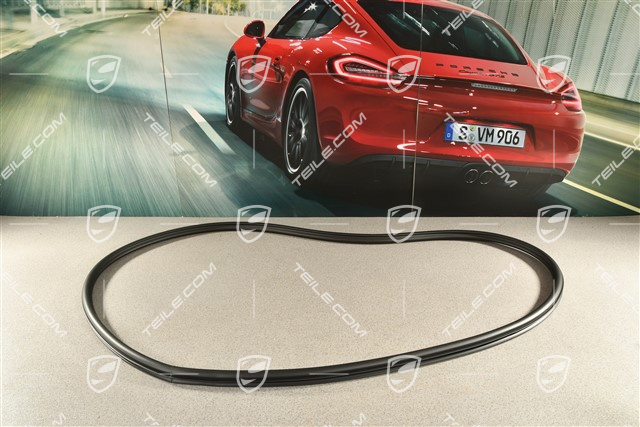 TEILE.COM | Coupe, Rear door seal, inner, L=R / new / Cayenne 9Y0 / 804 ...