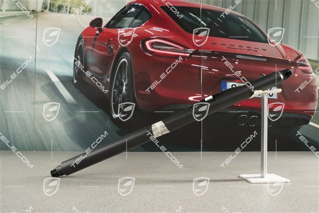 TEILE.COM | Actuator damper electric, powerlift for rear lid, L=R / new ...