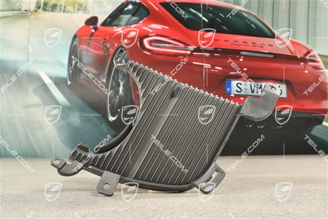 TEILE.COM | Trim cover / grille for retaining frame, lateral, R / new ...