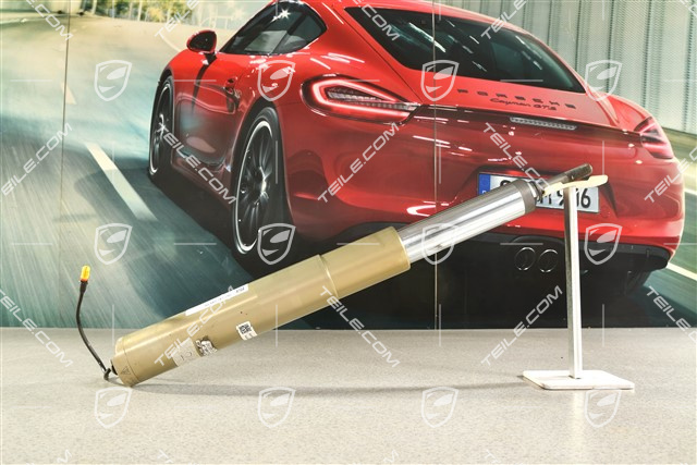TEILE.COM | GT2 RS / GT3 RS, Shock absorber, front axle, PASM, lift ...